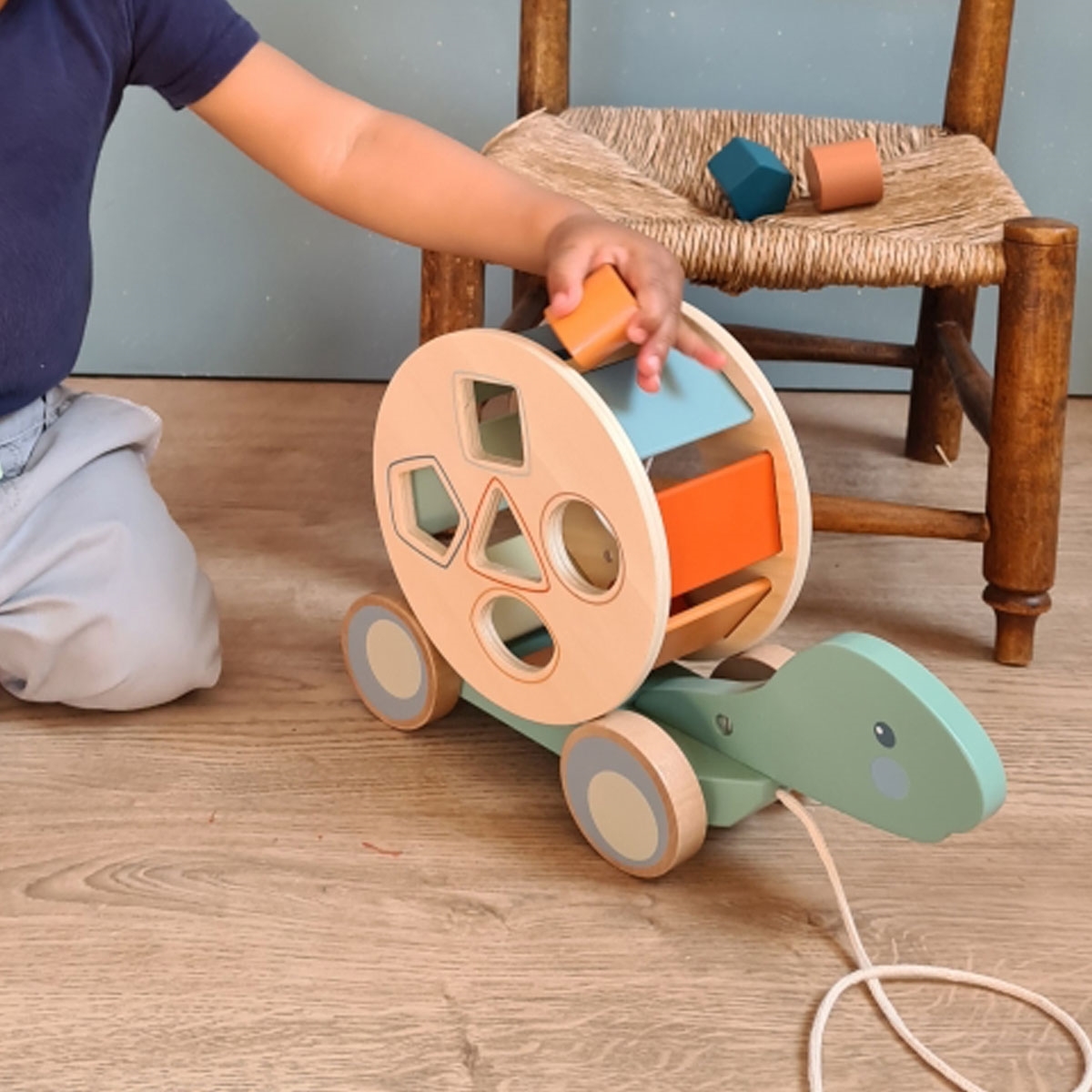 Shape sorter Turtle | Toy Estate